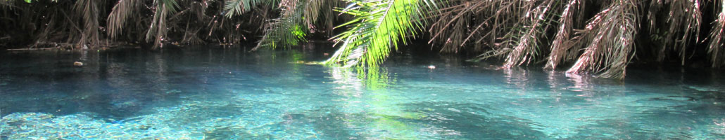 Kikuletwa Hotsprings – Tatu Project